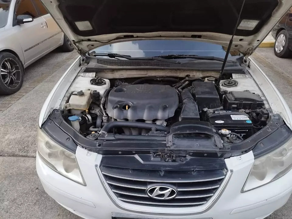 Corotos | Sonata n20 blanco original