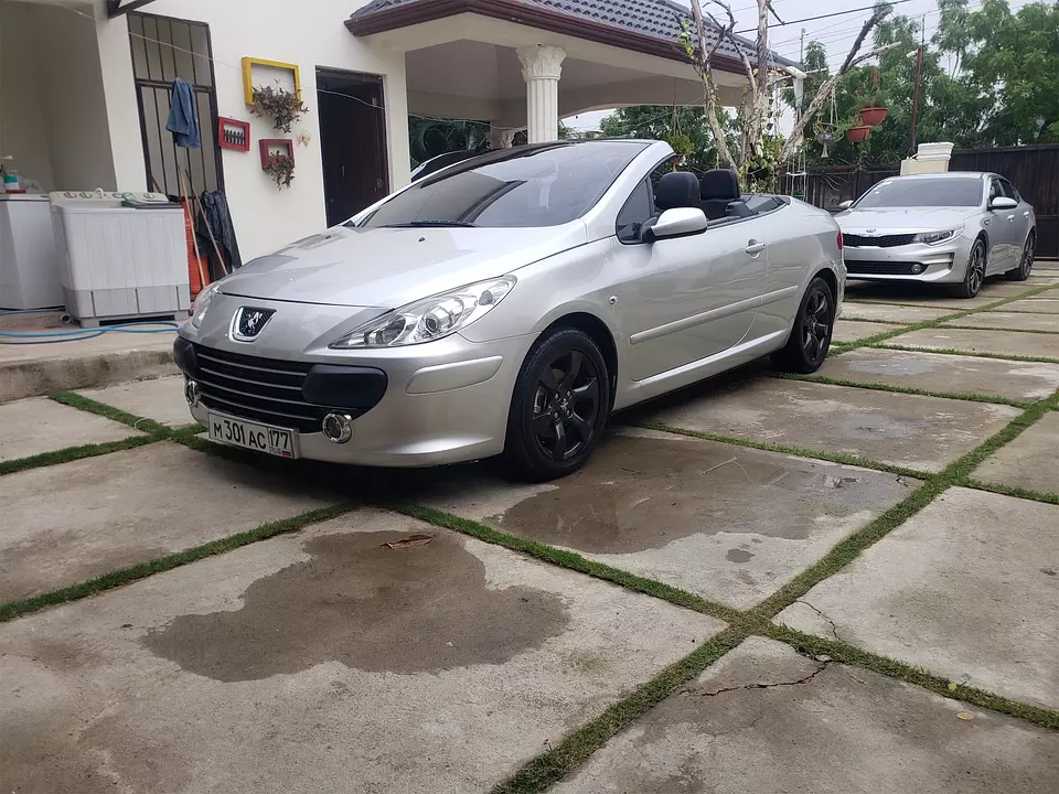 Corotos | Peugeot 307cc
