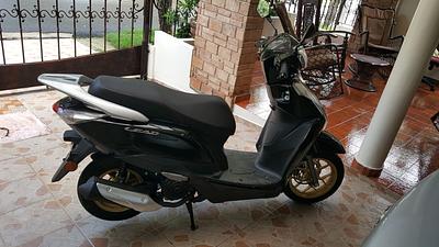 Corotos | Pasola Gato LEAD